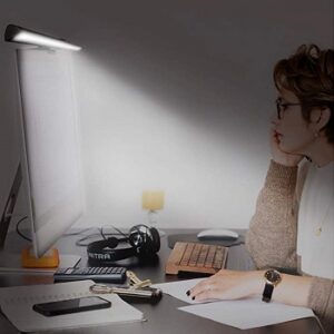Ultimate Guide For The Best Monitor Size For Office Work